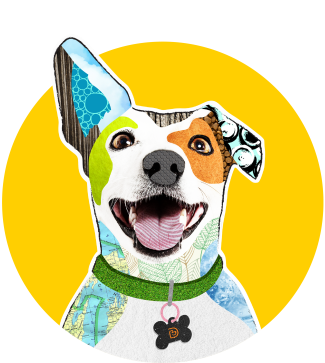 Coming Soon (Splash Page) - Parkside