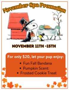 Thanksgiving Spa Promotion - Albuquerque West