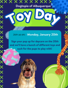Toy Day - Albuquerque West