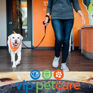 VIP Pet Care Vaccine Clinic - Boise-Greenbelt