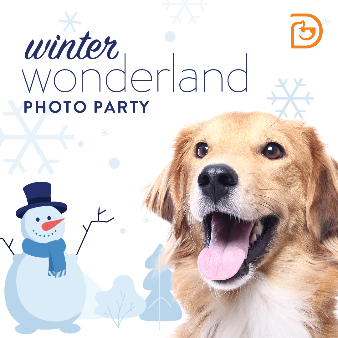 Winter Wonderland Photoshoot - Boise-Greenbelt