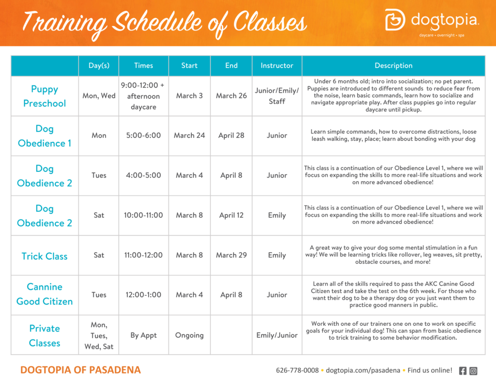 Dog Training - East Pasadena