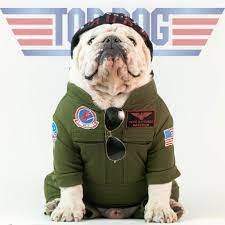 Top Gun Photos (The City & The Gym) - Carriage Crossing