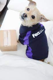 FedEx Photoshoot - Carriage Crossing