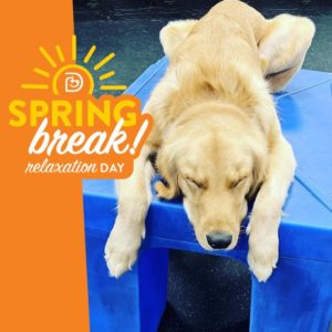 Spring Break Relaxation Day! - Commerce