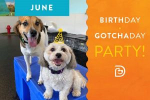 June Birthday Party! - Commerce