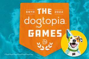 Dogtopia Games - Fairfield