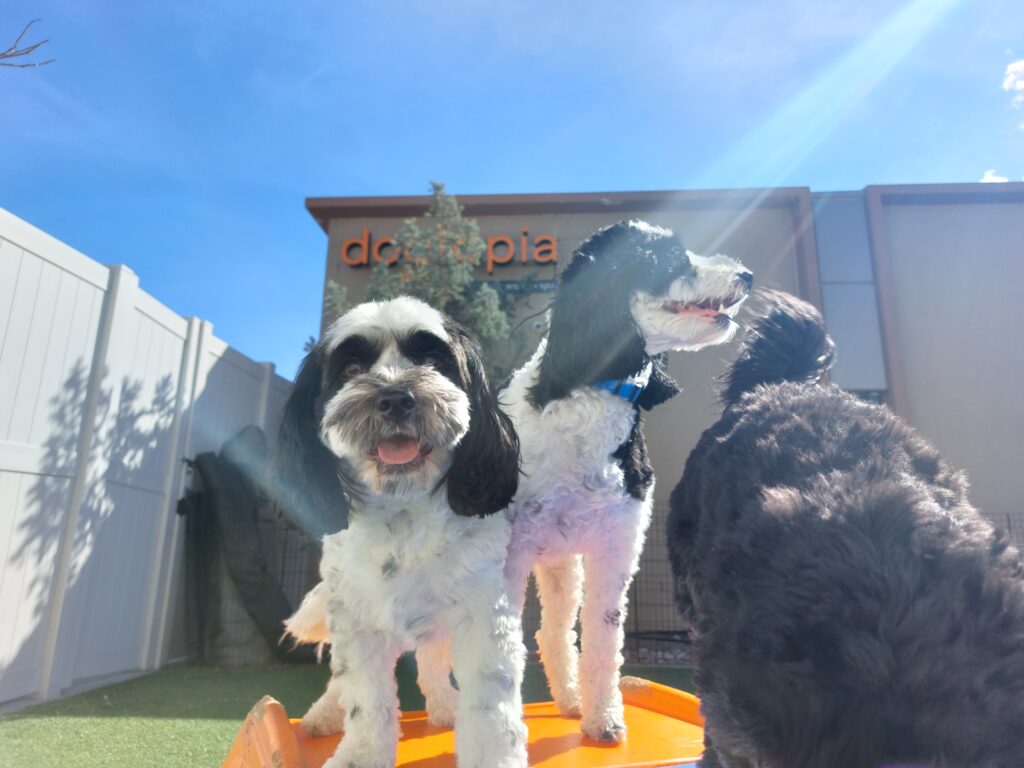 Find Your Pot of Gold - Fort Collins