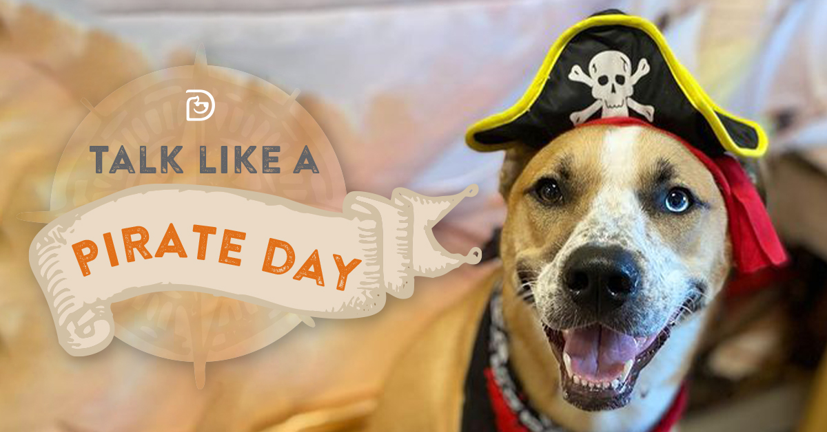 National Talk Like a Pirate Day! - Grand Rapids