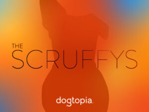 The Scruffy's - Waukee