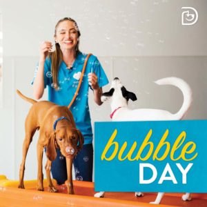 Bubble Day - Lake Oswego