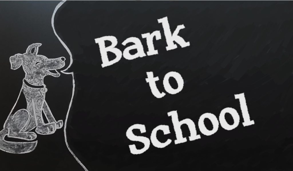 Bark to School!! - Louisville