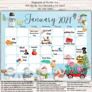 January Daycare Event Calendar - Myrtle Ave - Brooklyn