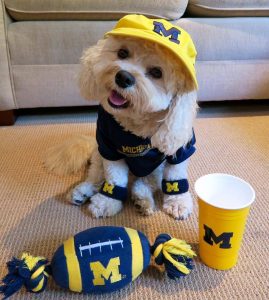 MSU vs. UofM Party! Friday, November 15th. - Northville