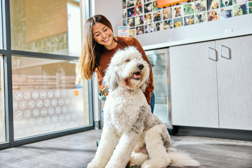 Dog Appreciation Month: How to Celebrate Your Dog - Orlando