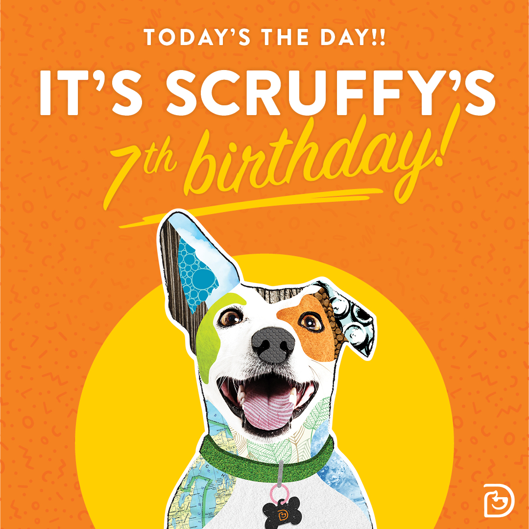 Scruffy's Birthday - San Antonio - Alamo Ranch