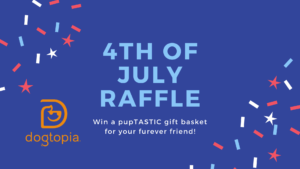4th of July Raffle - San Antonio - Northwest