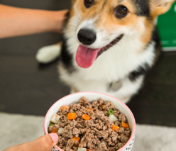 FALL POWER BOWL! - The Woodlands North