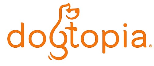 Let's play ball! - Utica