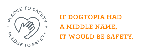 Our Facilities | Dogtopia